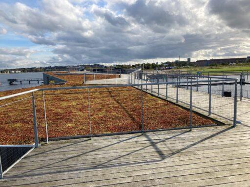 Vi skapar bästa förutsättningarna för dig som arkitekt - Sveriges ...